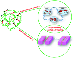 The journey of self-healing and shape memory polyurethanes from bench to translational research ...