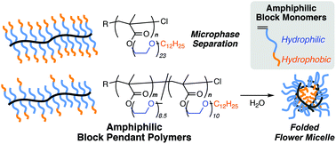 Self-assembly of amphiphilic block pendant polymers as microphase ...