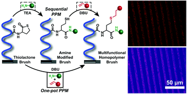 Sequential and one-pot post-polymerization modification reactions of ...