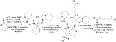 Studying the catalytic activity of DBU and TBD upon water-initiated ROP ...