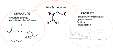 Thermal and crystalline properties of poly(2-oxazoline)s - Polymer ...