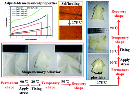 Exploring multiple functions of diarylsemipinacol linked to the ...