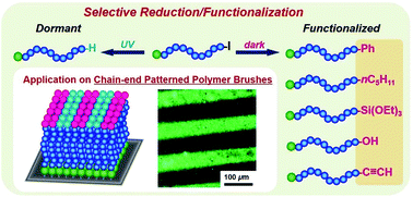 A photo-selective chain-end modification of polyacrylate-iodide and its ...