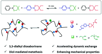 Thermally healable and reprocessable polymethacrylate networks based on diol-mediated metathesis ...