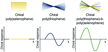 Chiral expression of co-crystallizing poly(thiophene)-block-poly ...