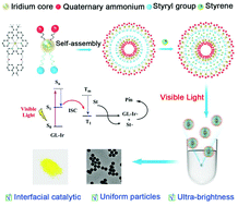 Preparation of fluorescent polystyrene nanoparticles mediated by a ...
