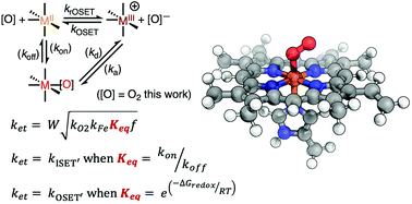 Applications of the Marcus cross relation to inner sphere reduction of ...