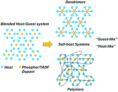 Phosphorescent and TADF polymers and dendrimers in solution-processed self-host organic light ...