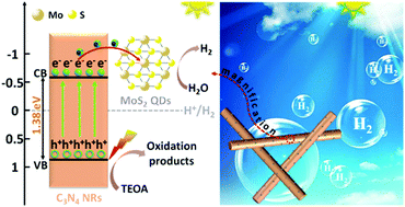 1T-phase MoS2 quantum dots as a superior co-catalyst to Pt decorated on ...