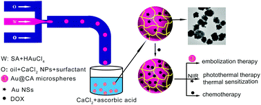 One-step preparation of multifunctional alginate microspheres loaded ...