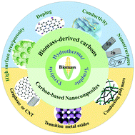 Recent development of biomass-derived carbons and composites as ...