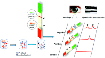 A paper-based colorimetric assay for rapid detection of four macrolides ...