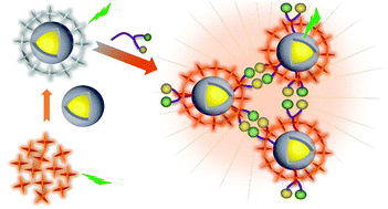 Aggregation induced emission enhancement by plasmon coupling of noble ...