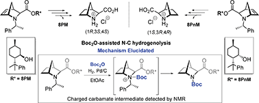 Mechanistic insights for the transprotection of tertiary amines with ...
