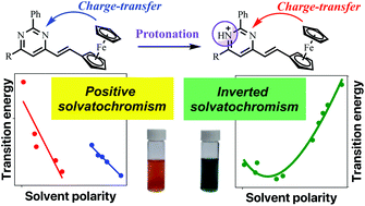 The inverted solvatochromism of protonated ferrocenylethenyl ...