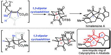 Exploration of 1,3-dipolar cycloaddition reactions to construct the ...