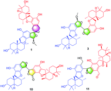 Bistachybotrysins L–V, bioactive phenylspirodrimane dimers from the ...