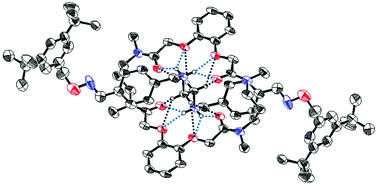 Rotaxanes comprising cyclic phenylenedioxydiacetamides and secondary ...
