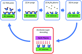 AlN epitaxy on SiC by low-temperature atomic layer deposition via layer-by-layer, in situ atomic ...