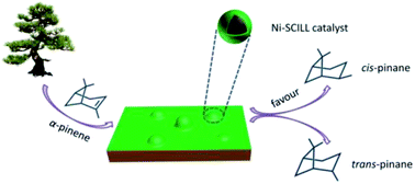 The conversion of α-pinene to cis-pinane using a nickel catalyst ...