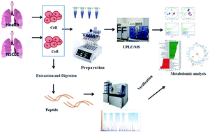 Discovery of potential therapeutic targets for non-small cell lung ...