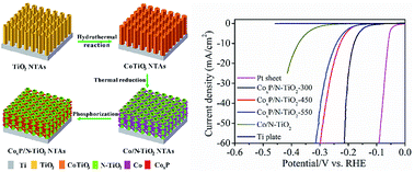 N-doped TiO2 nanotube arrays with uniformly embedded CoxP nanoparticles ...
