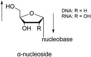 Review of α-nucleosides: from discovery, synthesis to properties and ...