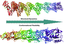 Probing the local conformational flexibility in receptor recognition: mechanistic insight from ...