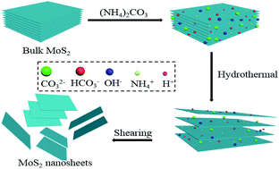 Hydrothermal-assisted shearing exfoliation for few-layered MoS2 ...