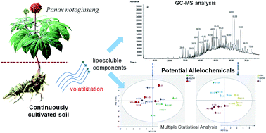 GC-MS-based identification and statistical analysis of liposoluble components in the rhizosphere ...