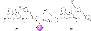 Fluorescent probe for Cu2+ and the secondary application of the ...