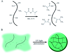 Gelatin methacryloyl (GelMA)-based biomaterials for bone regeneration ...