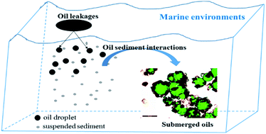 A practical adsorption model for the formation of submerged oils under ...