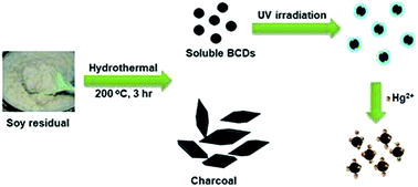 Environmentally friendly synthesis of photoluminescent biochar dots ...