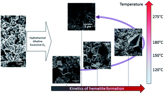 Mechanism and kinetics of magnetite oxidation under hydrothermal ...