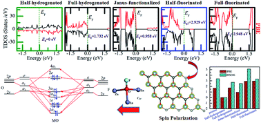 Chemical functionalization of the ZnO monolayer: structural and ...