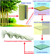 Eco-friendly transparent poplar-based composites that are stable and ...