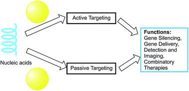 Functionalized gold nanostructures: promising gene delivery vehicles in ...