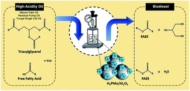 Keggin-structure heteropolyacid supported on alumina to be used in ...