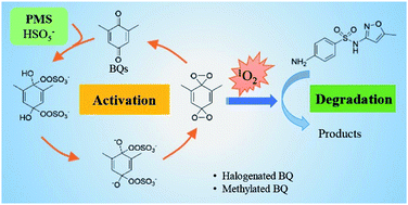 Activating peroxymonosulfate by halogenated and methylated quinones ...