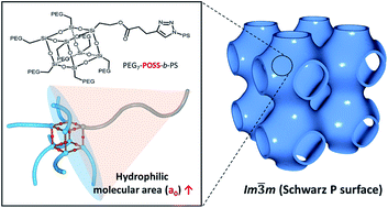 The effect of steric repulsion between highly branched hydrophilic ...