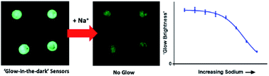 An ionophore-based persistent luminescent ‘Glow Sensor’ for sodium ...