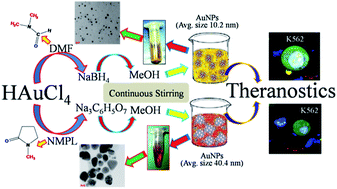 Solvent assisted size effect on AuNPs and significant inhibition on ...
