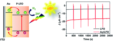 Enhanced photoelectrochemical performance of LaFeO3 photocathode with ...
