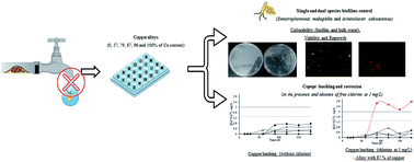 The role of surface copper content on biofilm formation by drinking ...