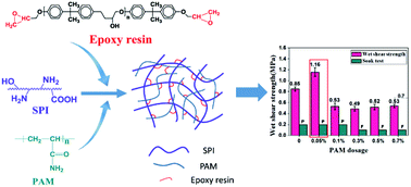 Preparation and characterization of a soy protein based bio-adhesive ...