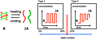 Formation and dissociation of synthetic hetero-double-helix complex in ...