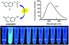 A novel fluorescent off–on probe for the sensitive and selective detection of fluoride ions ...
