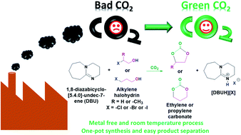 Metal free synthesis of ethylene and propylene carbonate from alkylene ...