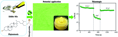 Engineering phytosterol-based oleogels for potential application as ...